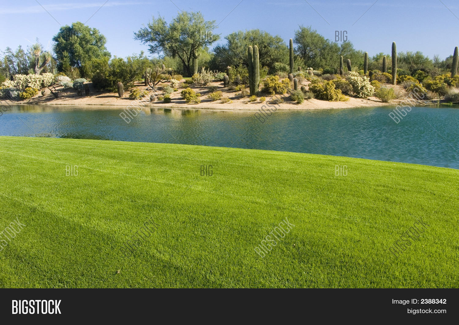 Golf Course Desert Image & Photo (Free Trial) | Bigstock