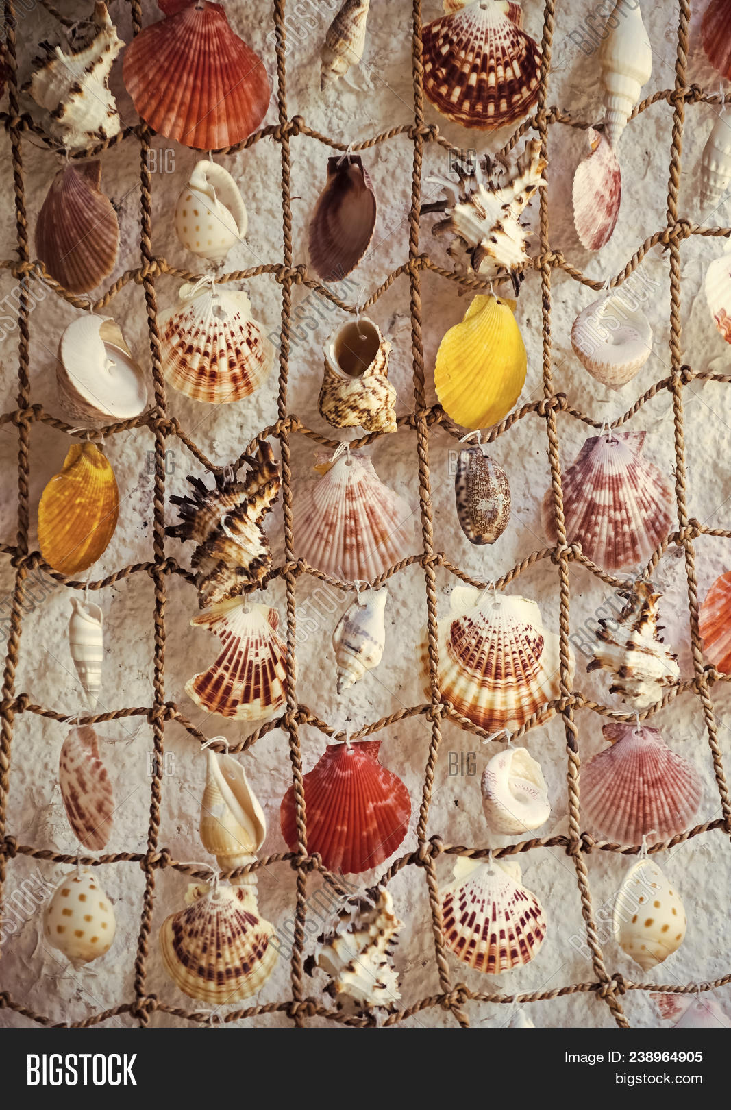 Fishing, Fishing Net Image & Photo (Free Trial) | Bigstock