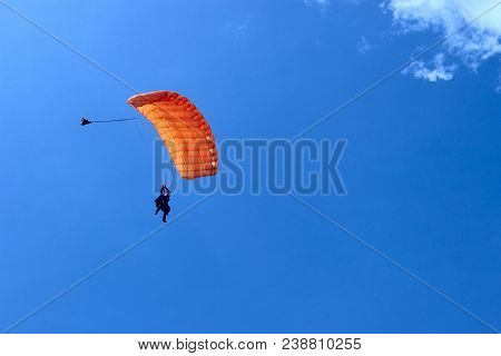 Skydiver Blue Sky. Image & Photo (Free Trial) | Bigstock