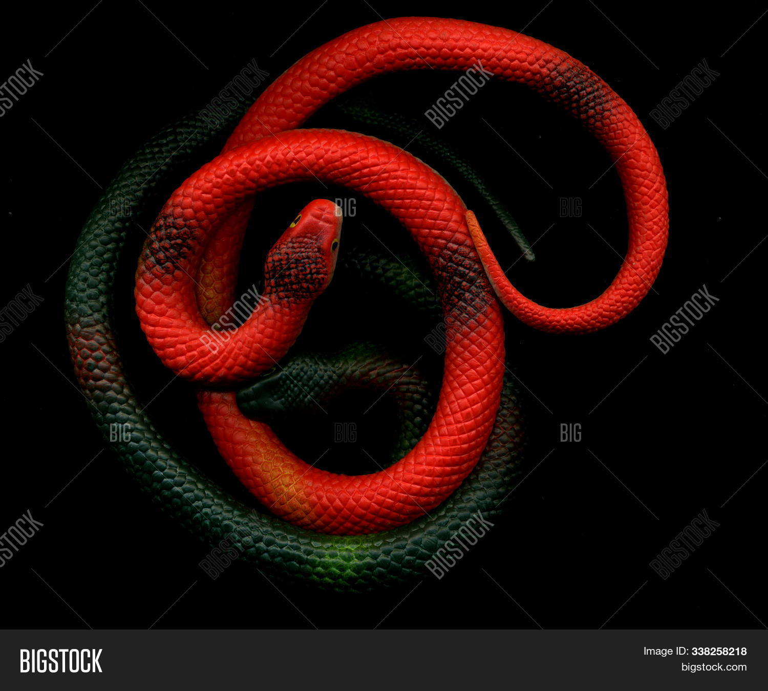 Red Toy Rubber Snake Image & Photo (Free Trial) | Bigstock