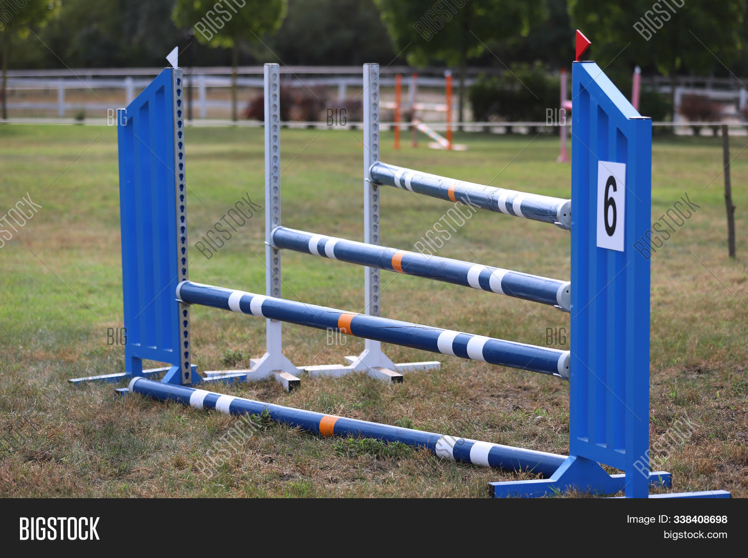 Image Show Jumping Image & Photo (Free Trial) | Bigstock