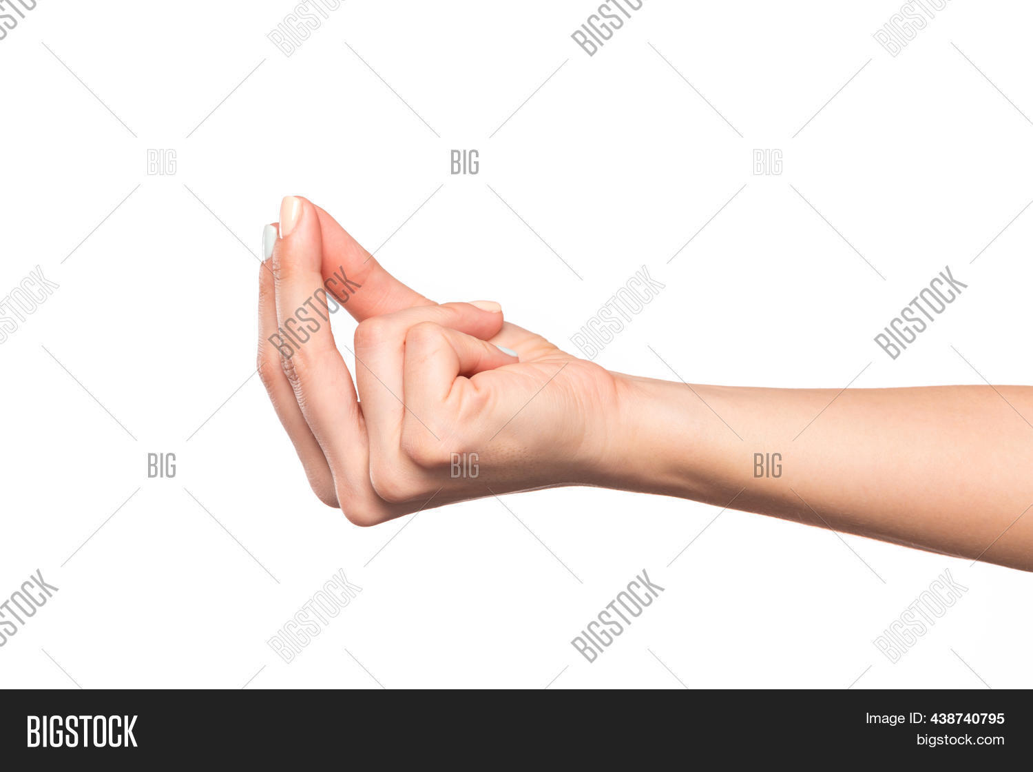 Female Hand Isolated Image & Photo (Free Trial) | Bigstock