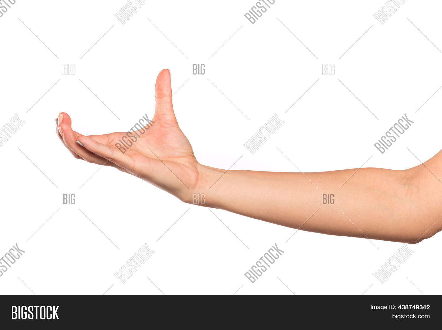 Female Hand Isolated Image & Photo (Free Trial) | Bigstock