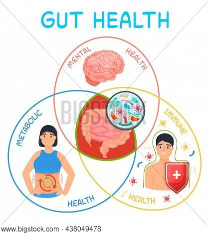 Why Gut Health Vector & Photo (Free Trial) | Bigstock
