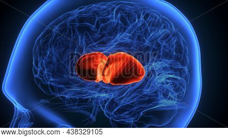 3d Illustration Human Image & Photo (Free Trial) | Bigstock