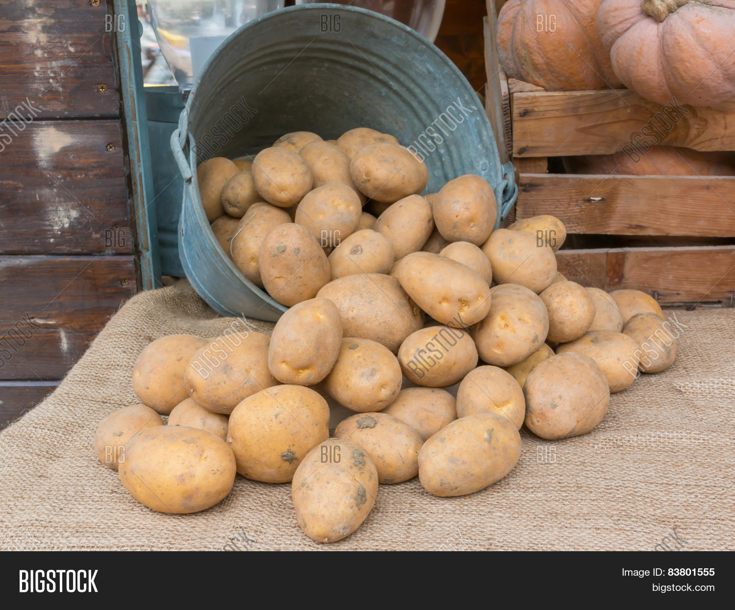 Brown Potatoes Rolling Image & Photo (Free Trial) | Bigstock