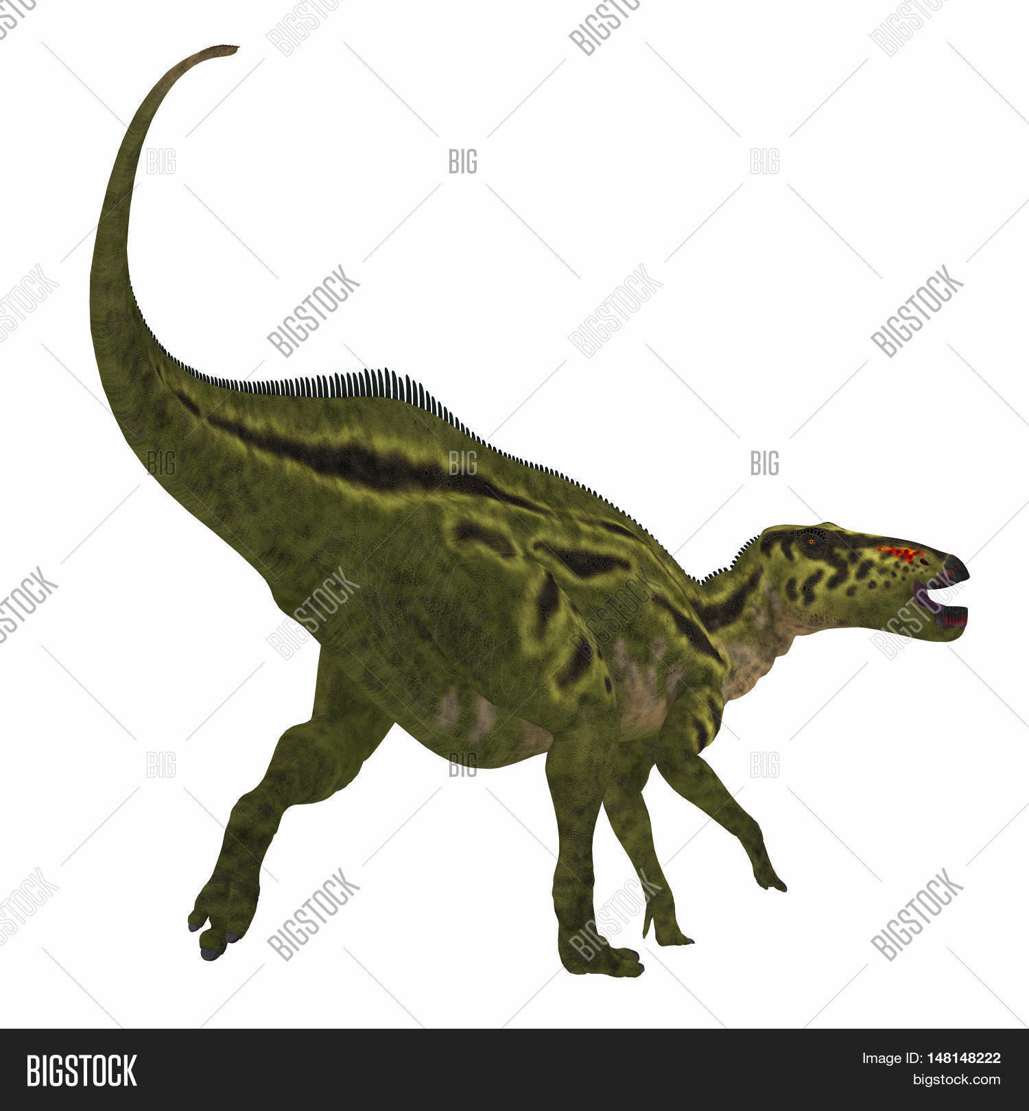 Shantungosaurus Image & Photo (Free Trial) | Bigstock