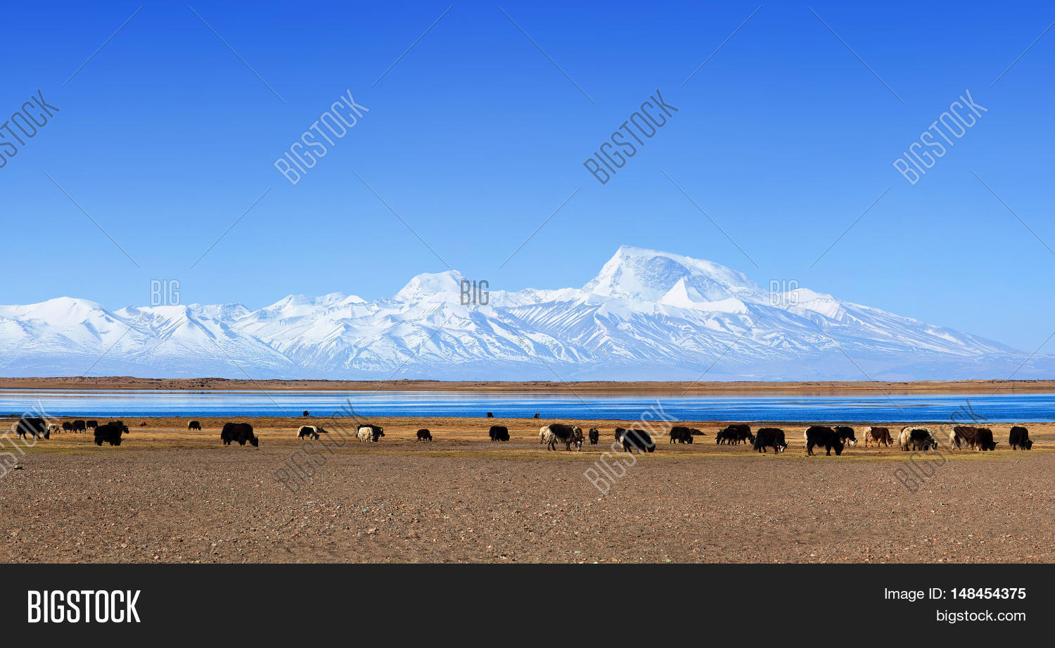 Panorama Gurla Image & Photo (Free Trial) | Bigstock