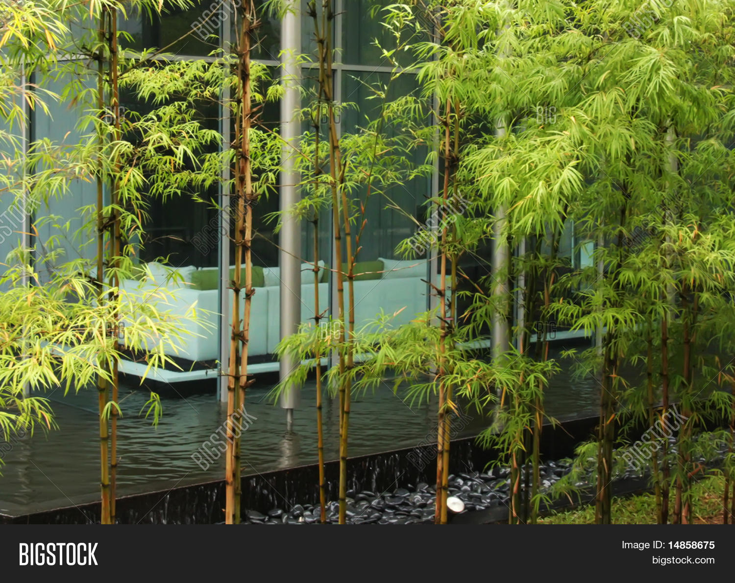 Modern Zen Decor Home Image & Photo (Free Trial) | Bigstock