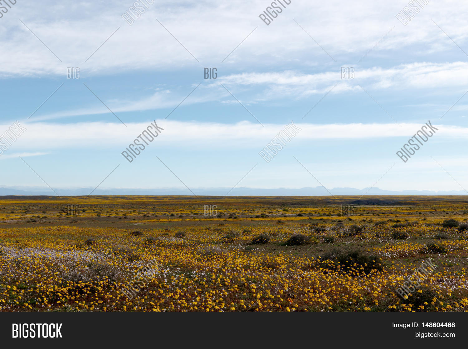 Huge Open Empty Flat Image & Photo (Free Trial) | Bigstock