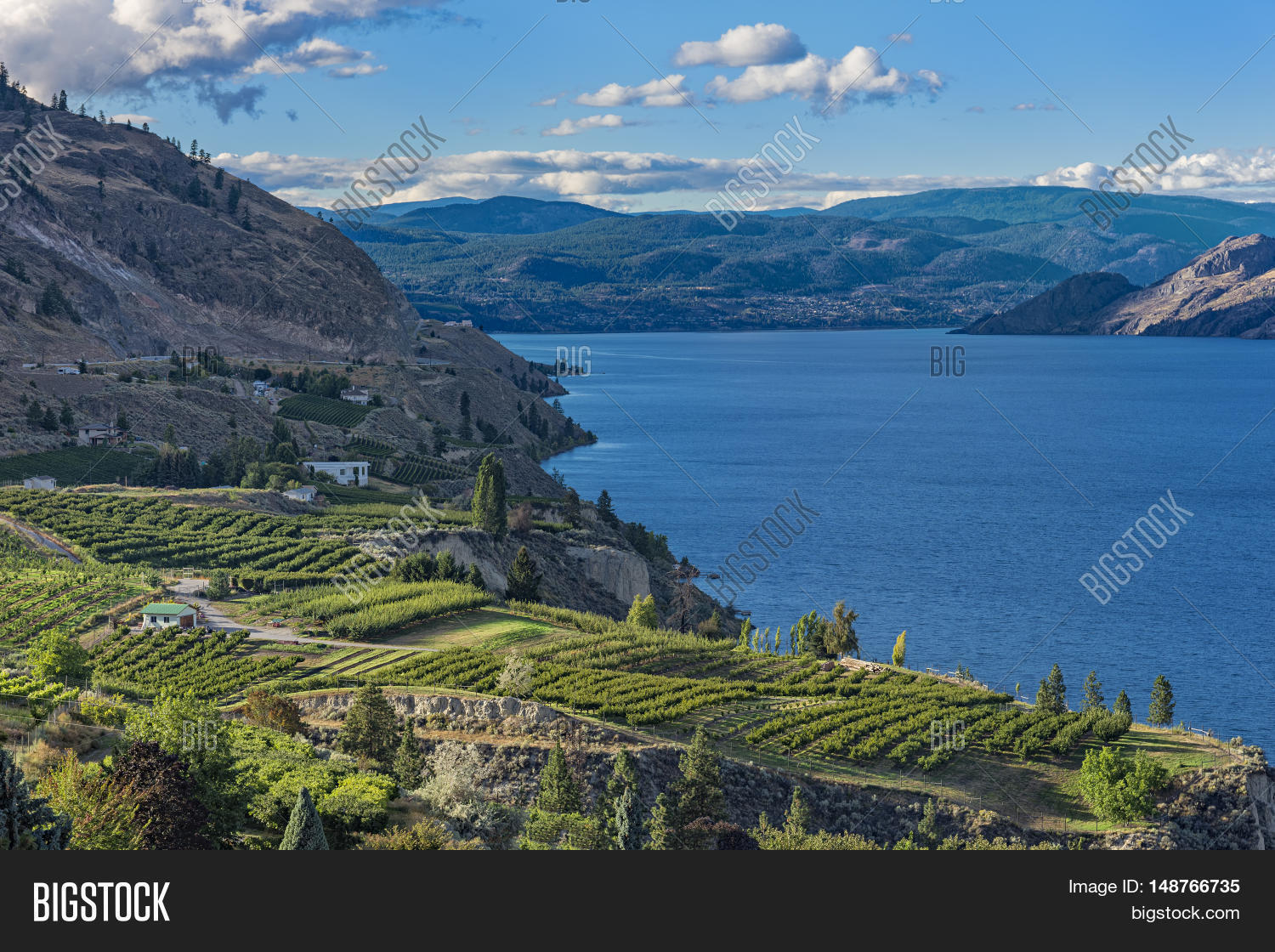 Okanagan Lake Near Image & Photo (Free Trial) | Bigstock