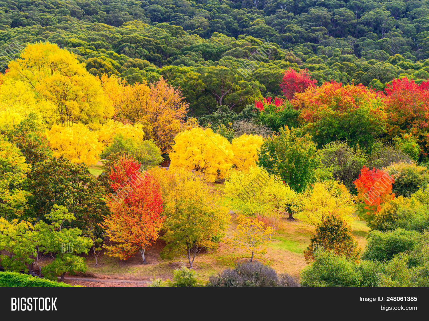 Colorful Australian Image & Photo (Free Trial) | Bigstock