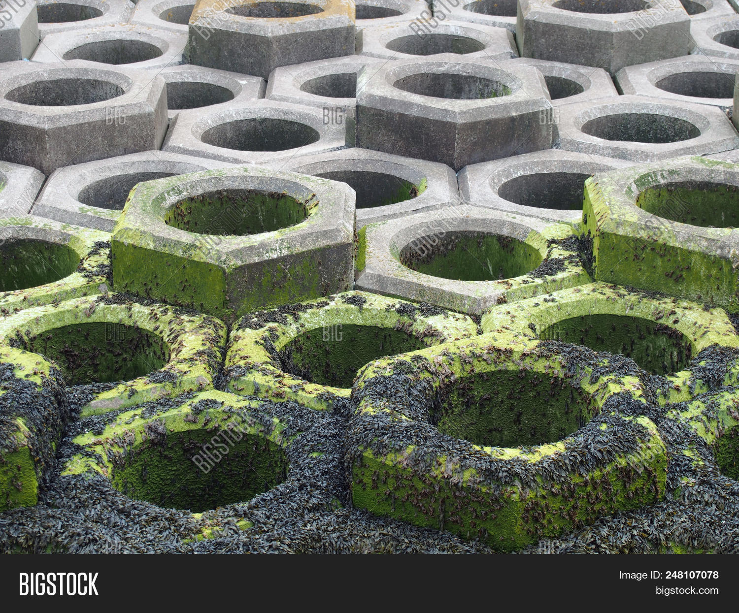 Concrete Defensive Sea Image & Photo (Free Trial) | Bigstock