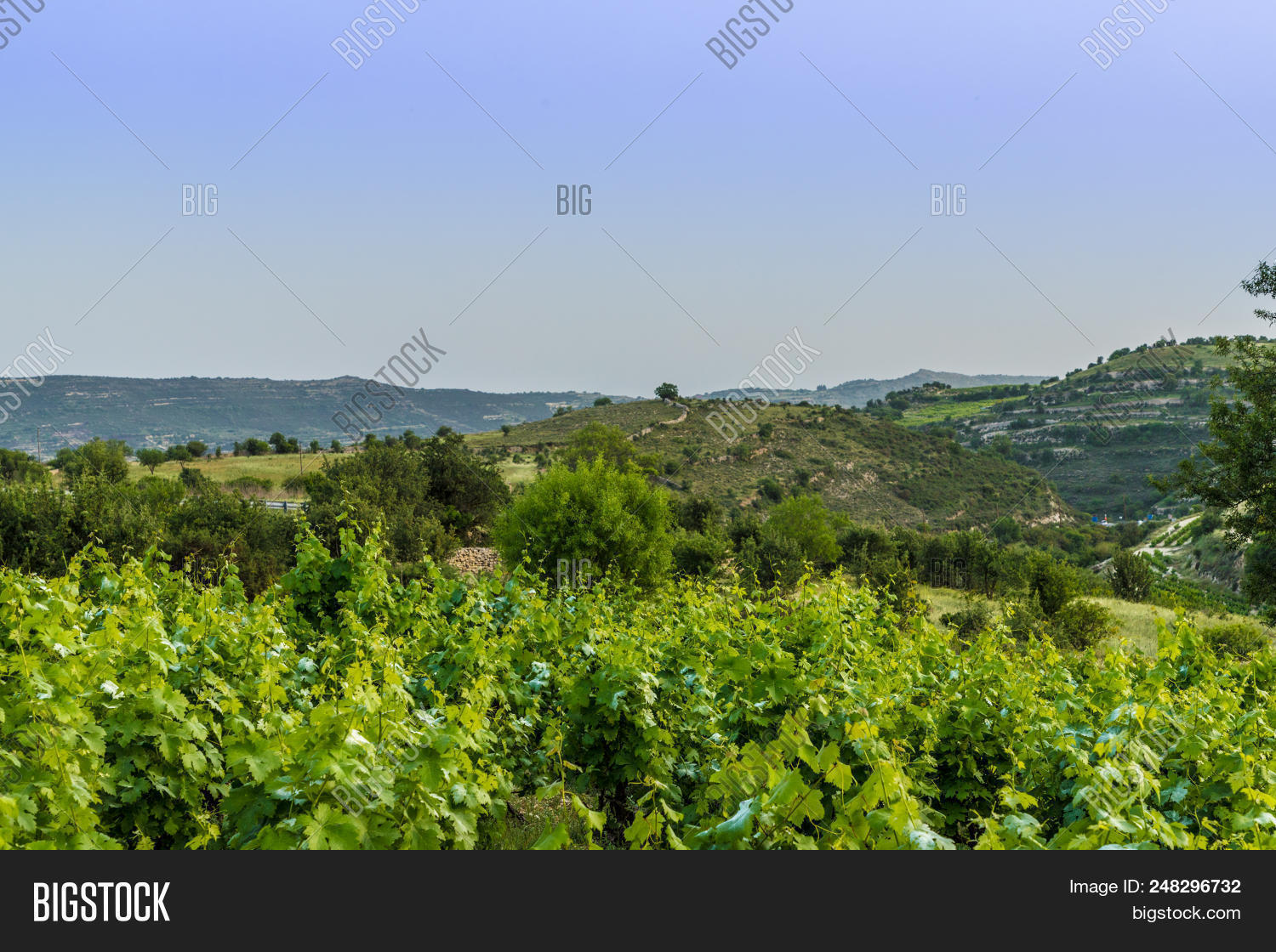 Omodos, Cyprus. May Image & Photo (Free Trial) | Bigstock