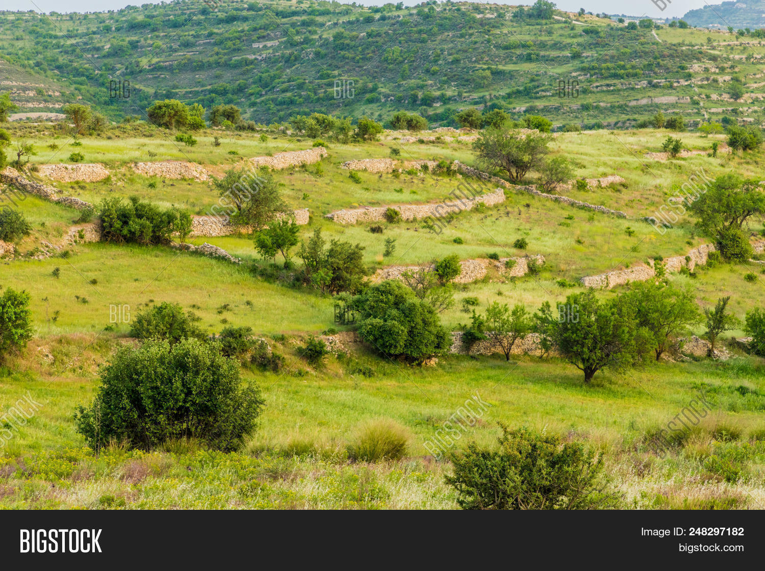 Omodos, Cyprus. May Image & Photo (Free Trial) | Bigstock