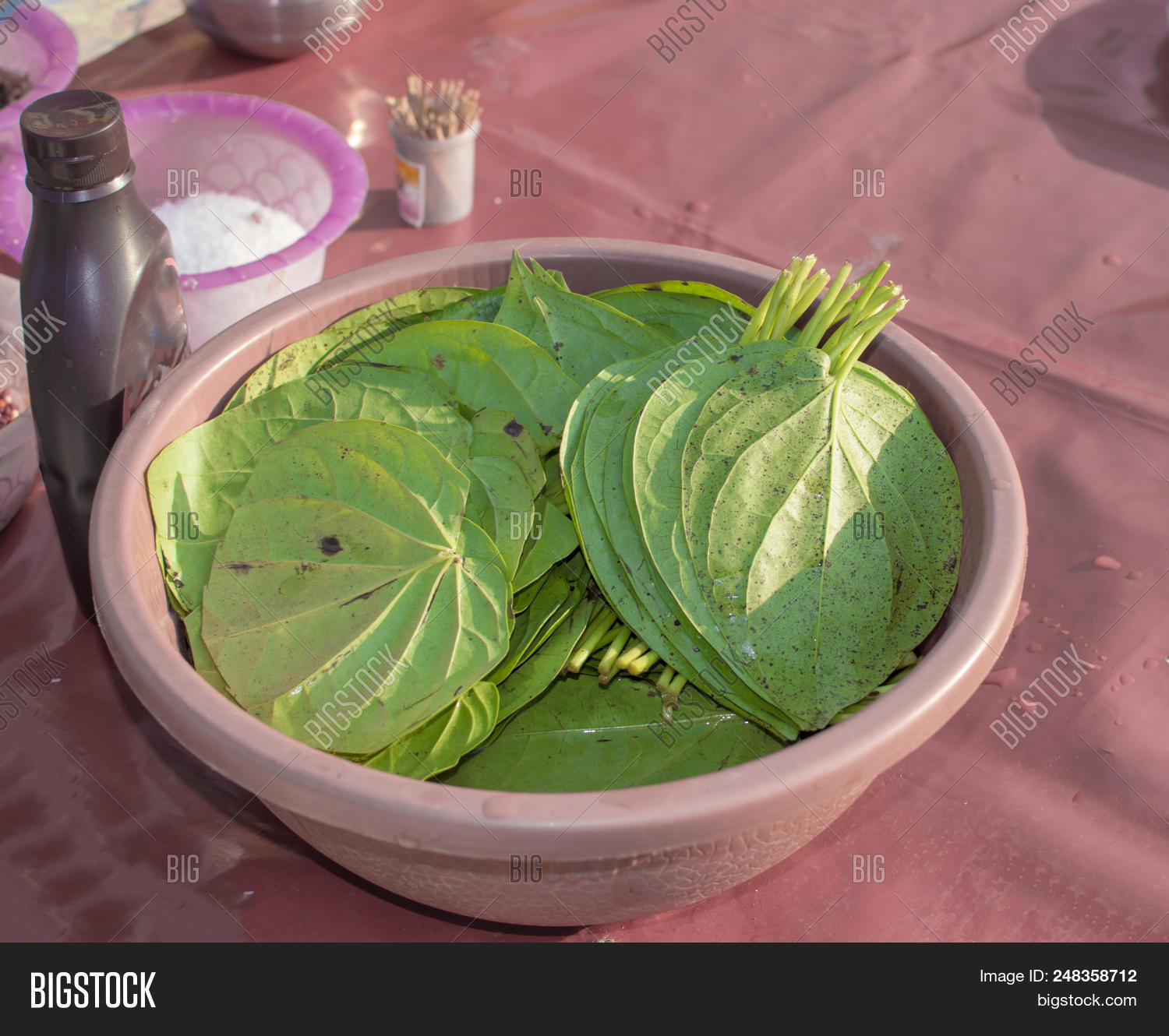 Green Paan Betel Image & Photo (Free Trial) | Bigstock