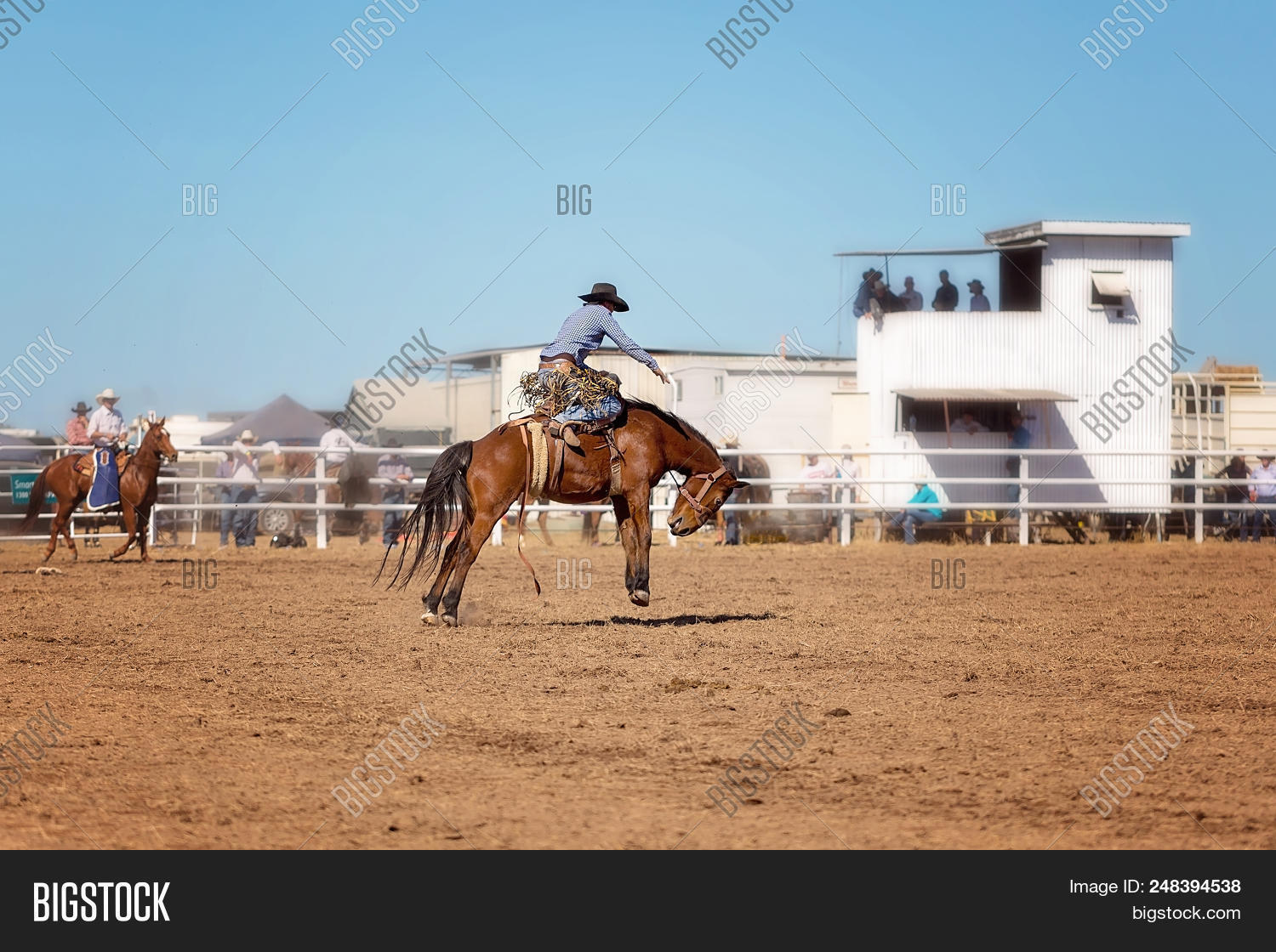 Cowboy Riding Bucking Image & Photo (Free Trial) | Bigstock