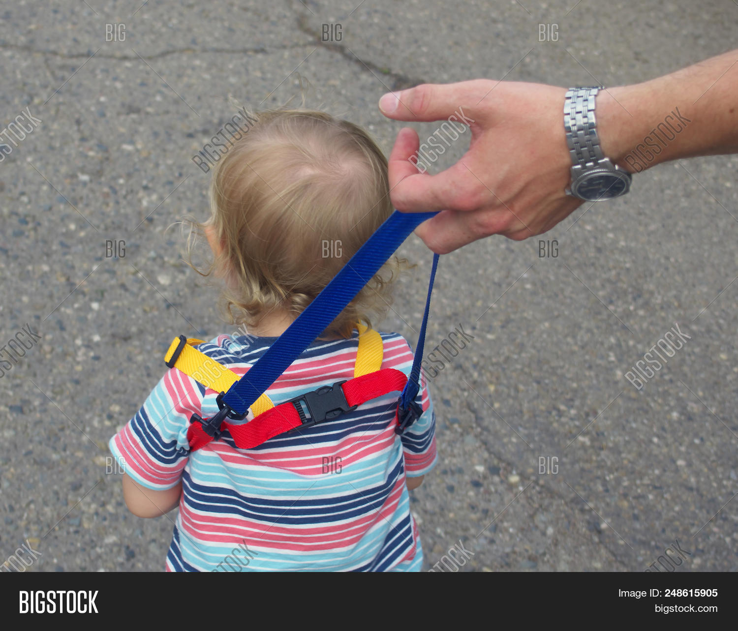 Child Restraint Used Image & Photo (Free Trial) | Bigstock