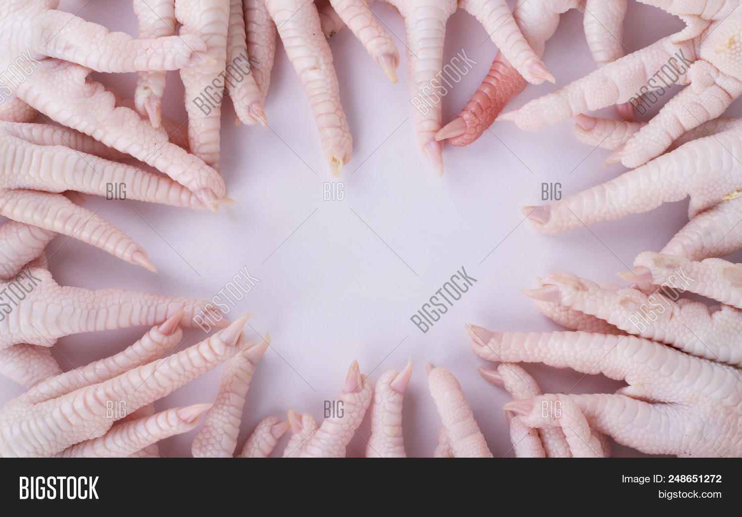 Raw Chicken Feet Image & Photo (Free Trial) | Bigstock
