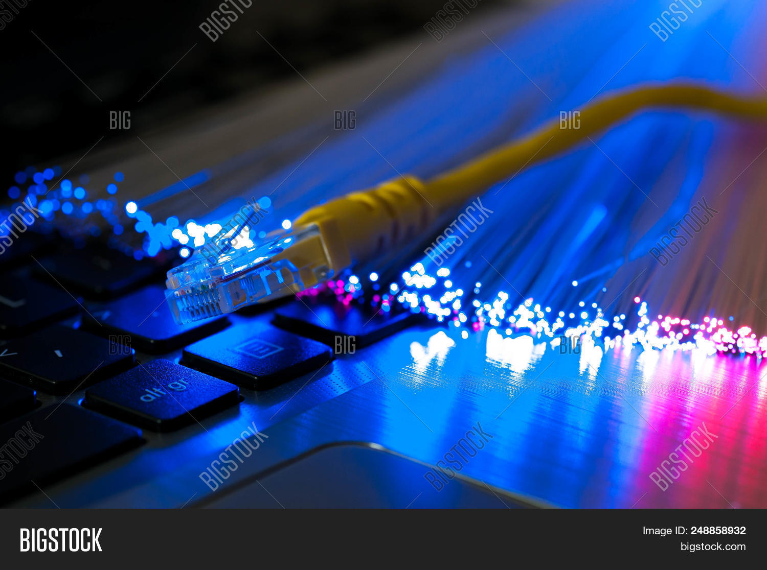 Yellow Internet Cable Image & Photo (Free Trial) | Bigstock