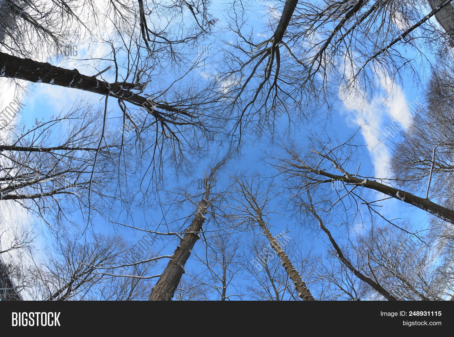 Ground Sky View Trees Image & Photo (Free Trial) | Bigstock
