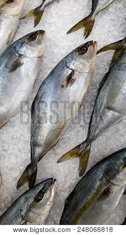 Beautiful Picture Image & Photo (Free Trial) | Bigstock