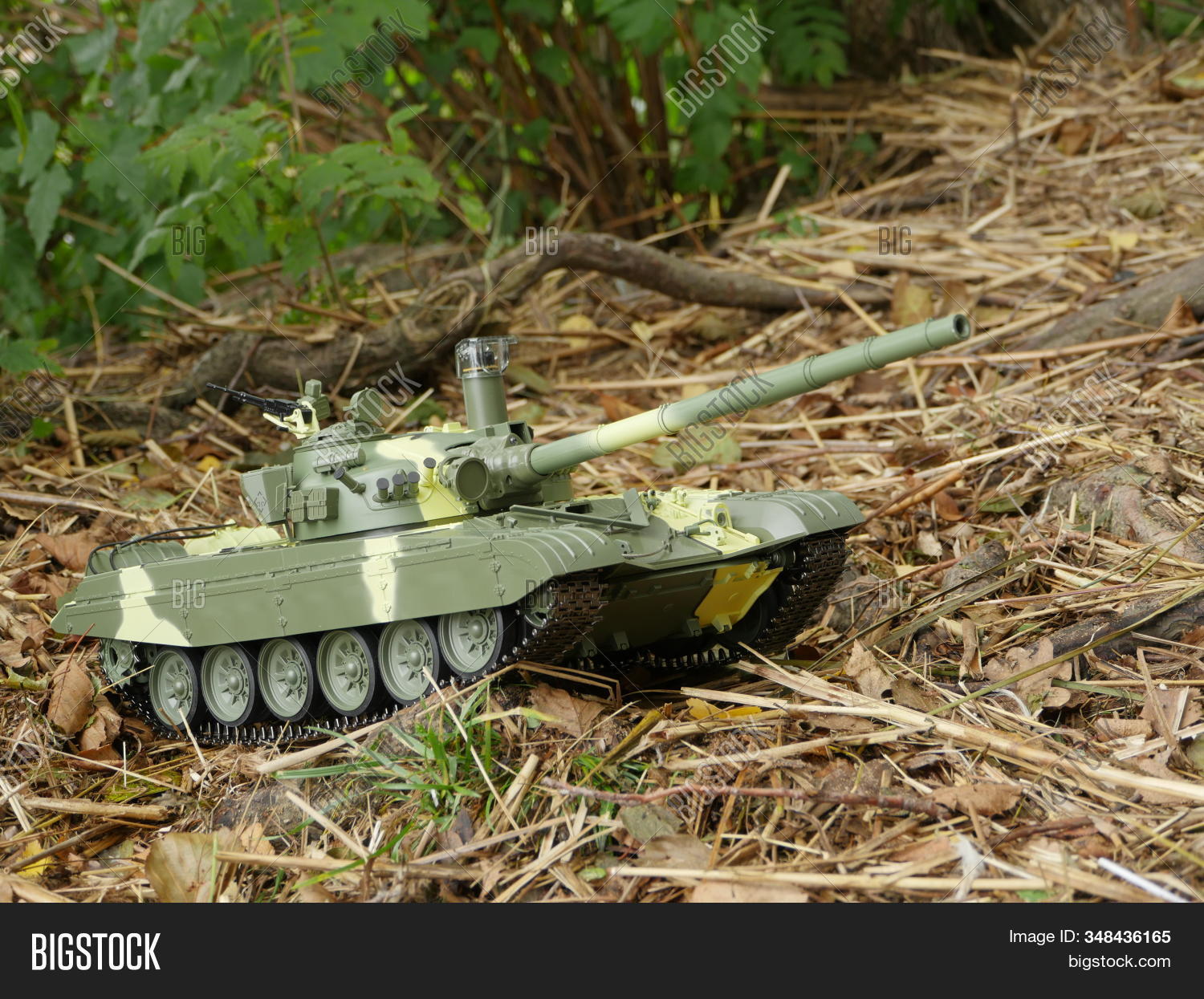 Tank T72 Side View Rc Image & Photo (Free Trial) | Bigstock