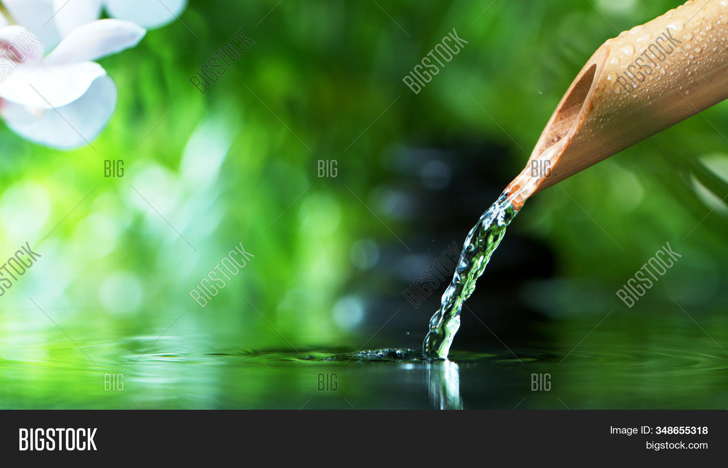 Stream Water Flowing Image & Photo (Free Trial) | Bigstock