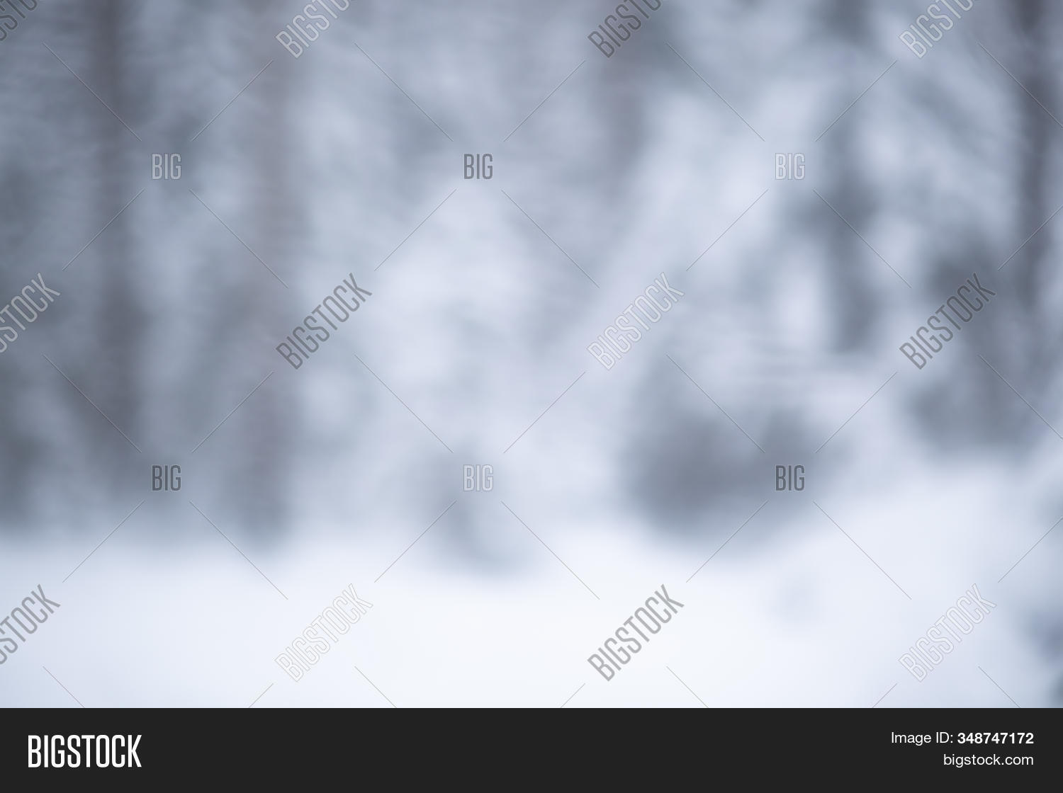 Blurred Winter Image & Photo (Free Trial) | Bigstock