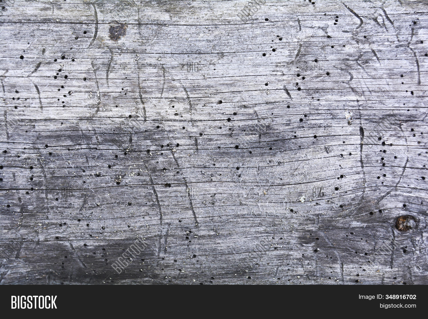 Piece Wood Attacked By Image & Photo (Free Trial) | Bigstock