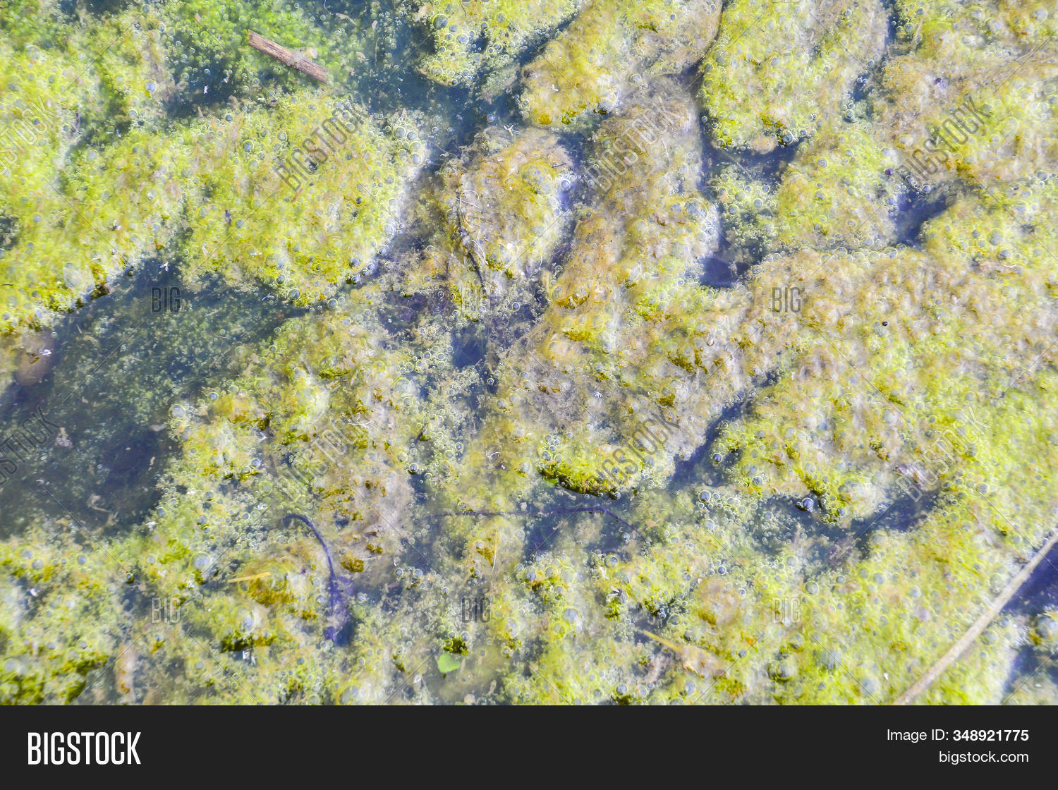 Surface Reservoir Image & Photo (Free Trial) | Bigstock