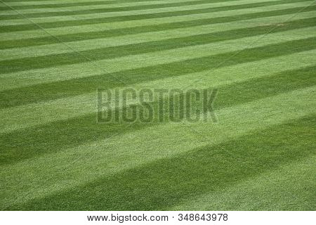 Green Stripe Image & Photo (Free Trial) | Bigstock