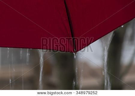 Rainy Weather View Image & Photo (Free Trial) | Bigstock