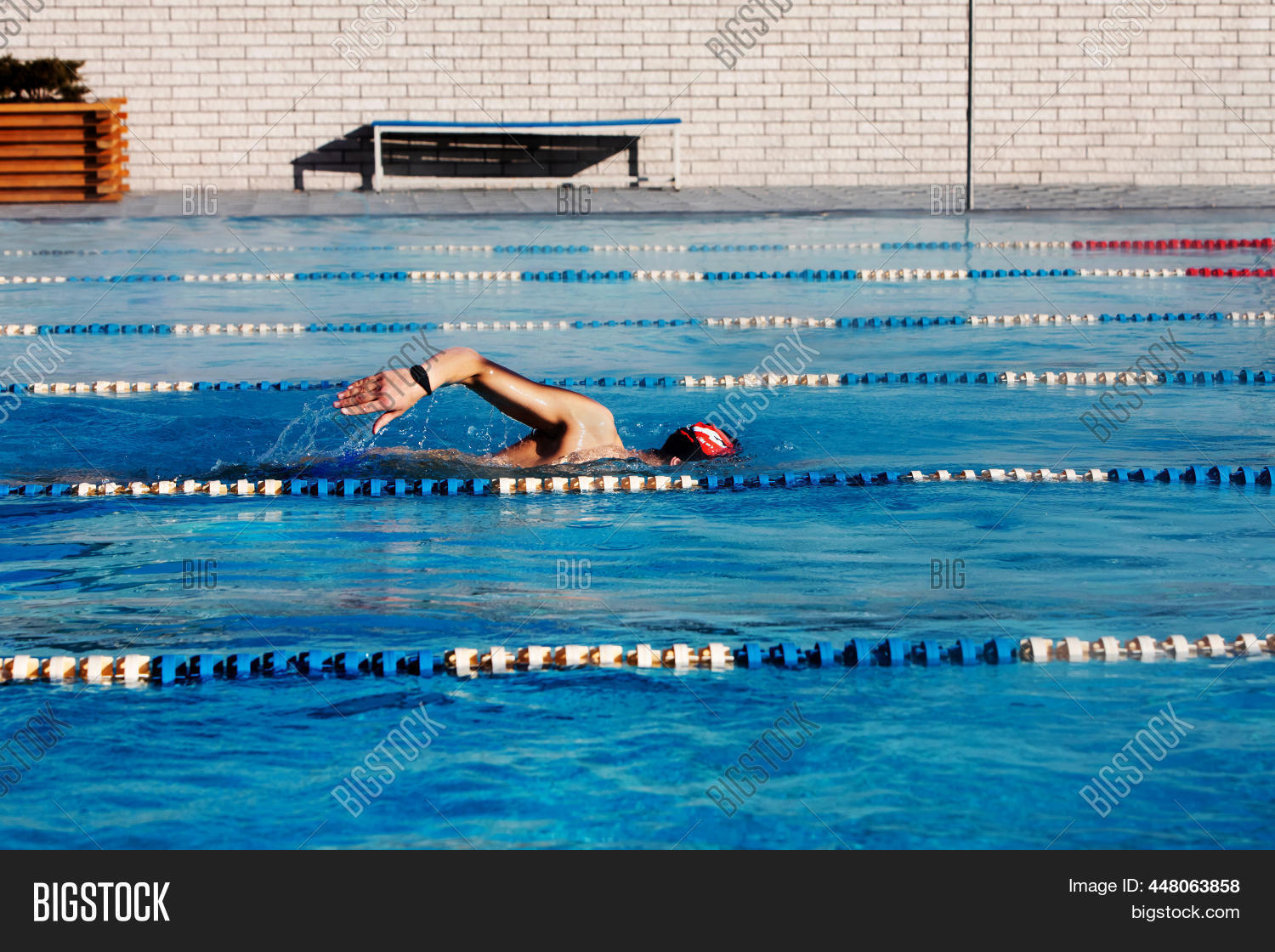 Professional Male Image And Photo Free Trial Bigstock