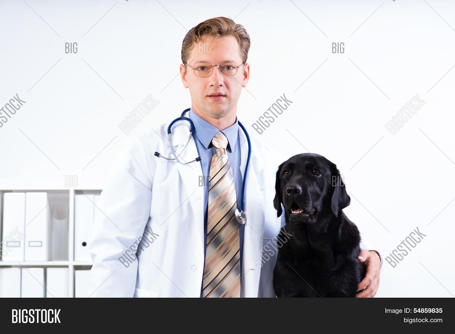 Portrait Veterinarian Image & Photo (Free Trial) | Bigstock