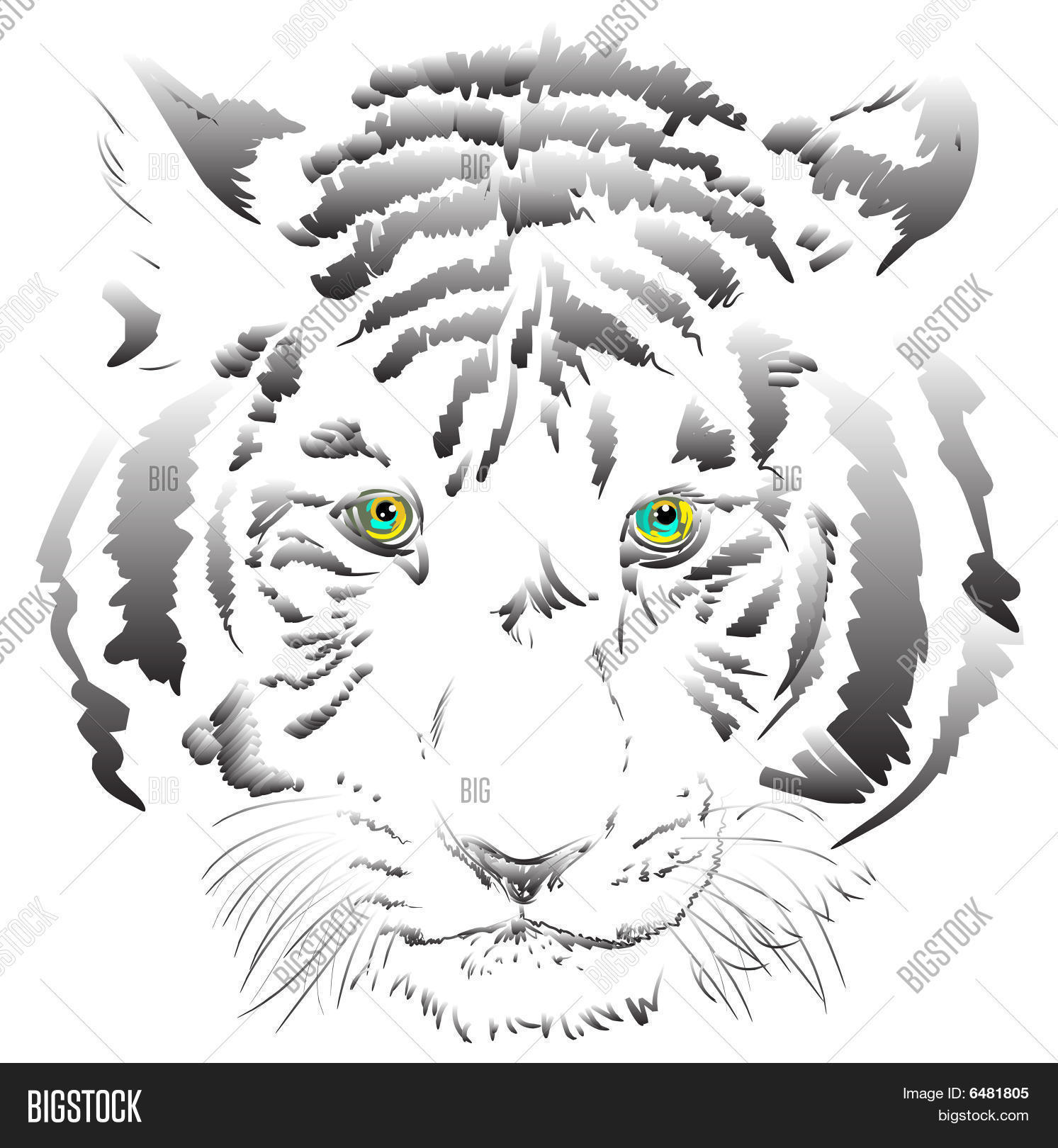 Tiger Vector Vector & Photo (Free Trial) | Bigstock