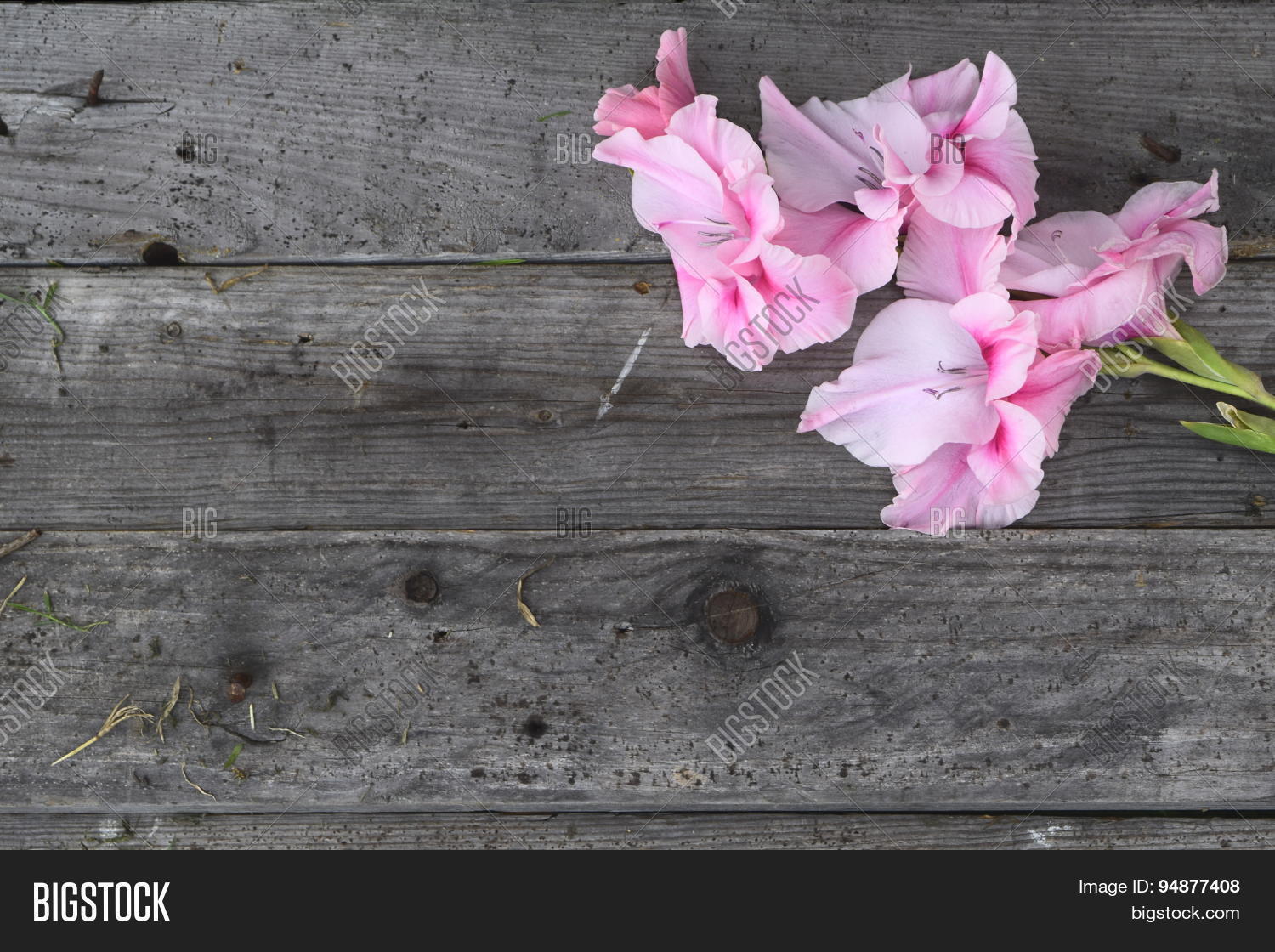 Flowers On Rustic Image & Photo (Free Trial) | Bigstock