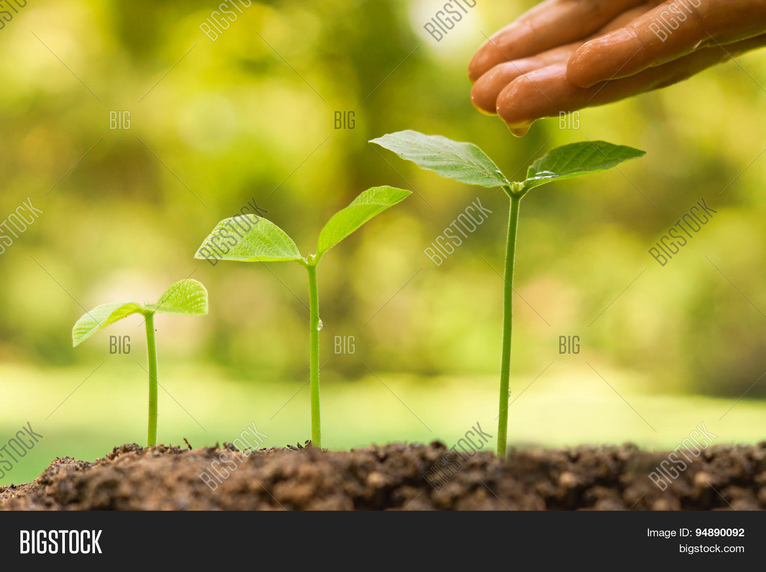 Growing Nurturing Image & Photo (Free Trial) | Bigstock