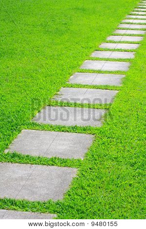 Pathway Image & Photo (Free Trial) | Bigstock