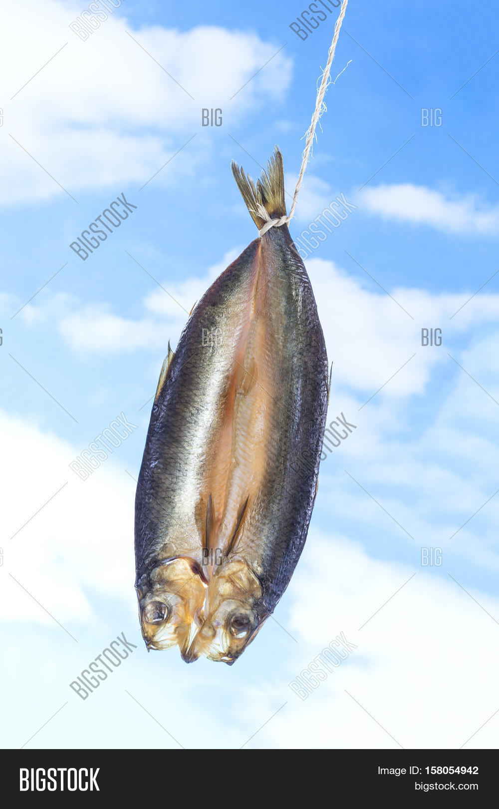 Smoked Kippered Image & Photo (Free Trial) | Bigstock