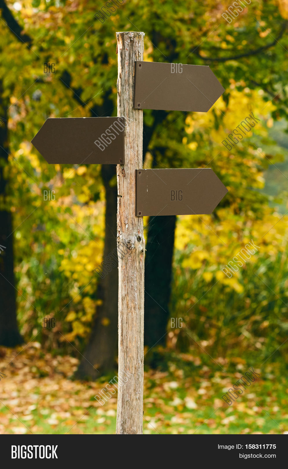 Sign Pole Arrows Image & Photo (Free Trial) | Bigstock