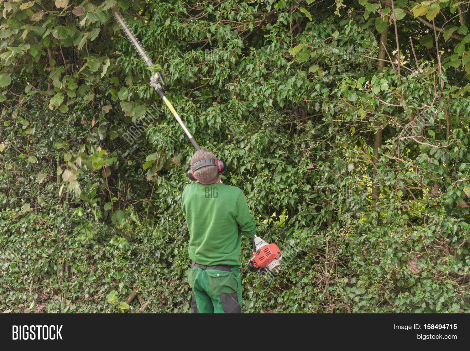 Hedge Trimming Works Image & Photo (Free Trial) | Bigstock