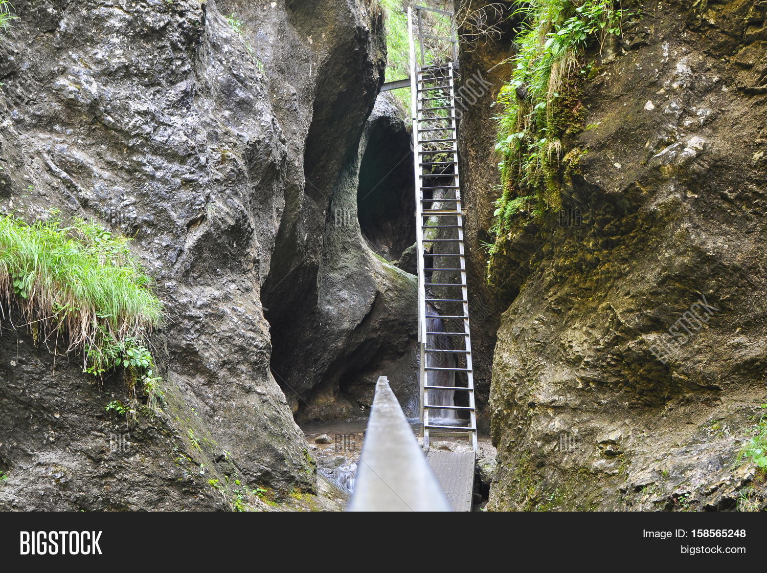 Ladder Path Janosikove Image & Photo (Free Trial) | Bigstock