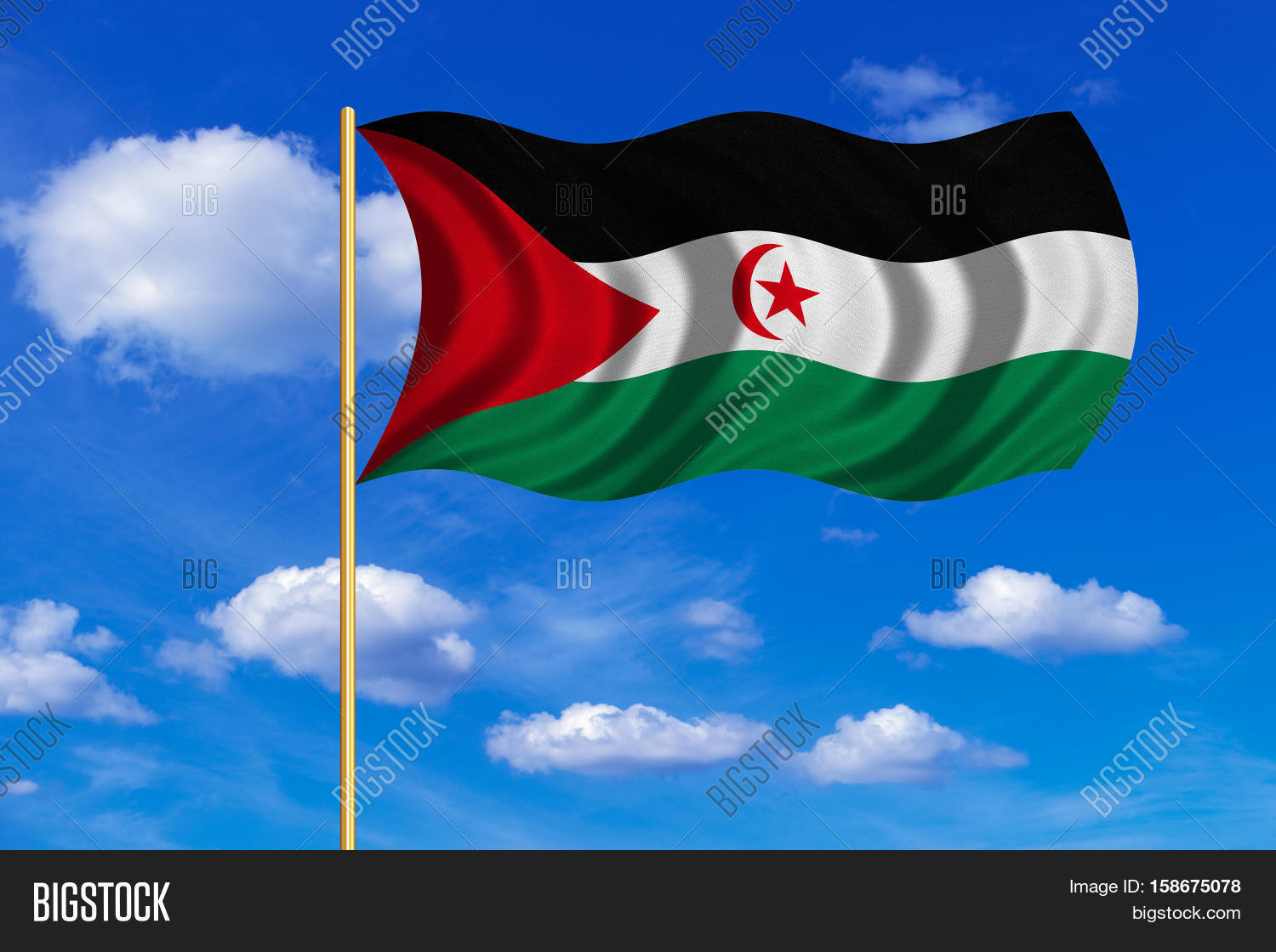 Sahrawi National Image & Photo (Free Trial) | Bigstock