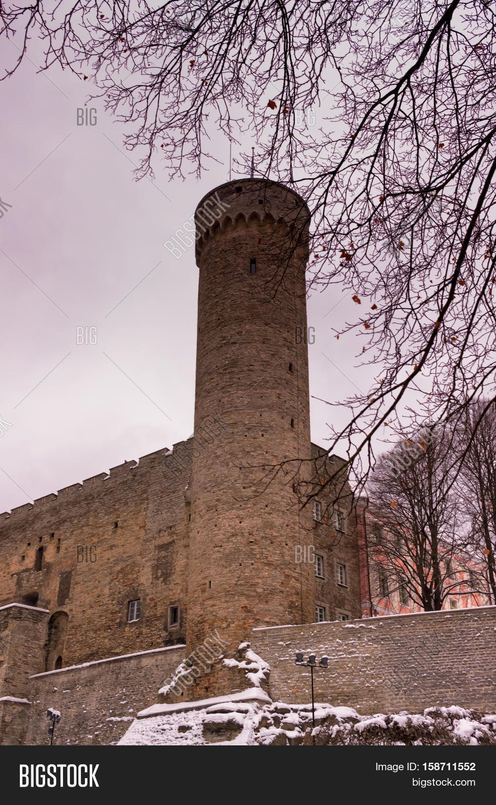 Pikk Hermann Tall Image & Photo (Free Trial) | Bigstock