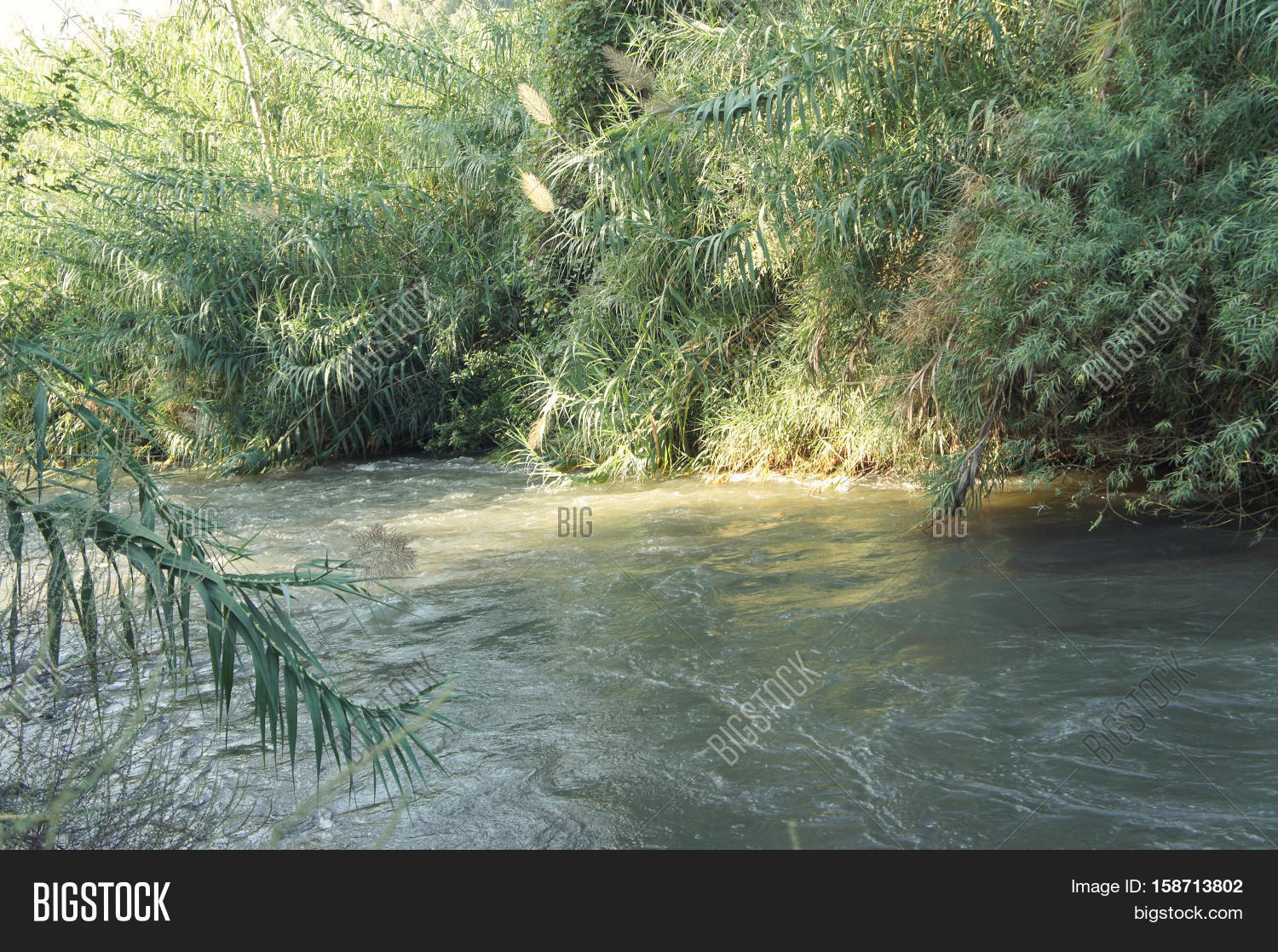View Slow River Flow Image & Photo (Free Trial) | Bigstock