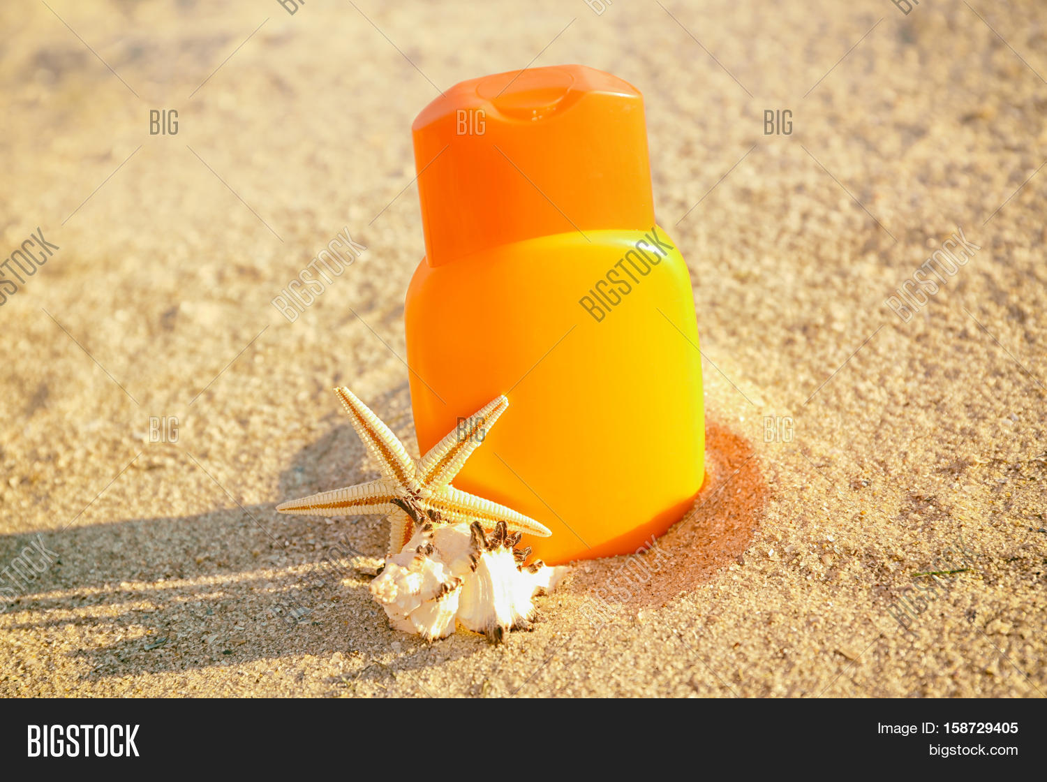 Sunscreen Cream, Shell Image & Photo (Free Trial) | Bigstock