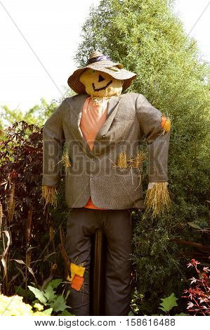 Scarecrow Strawman Image & Photo (Free Trial) | Bigstock