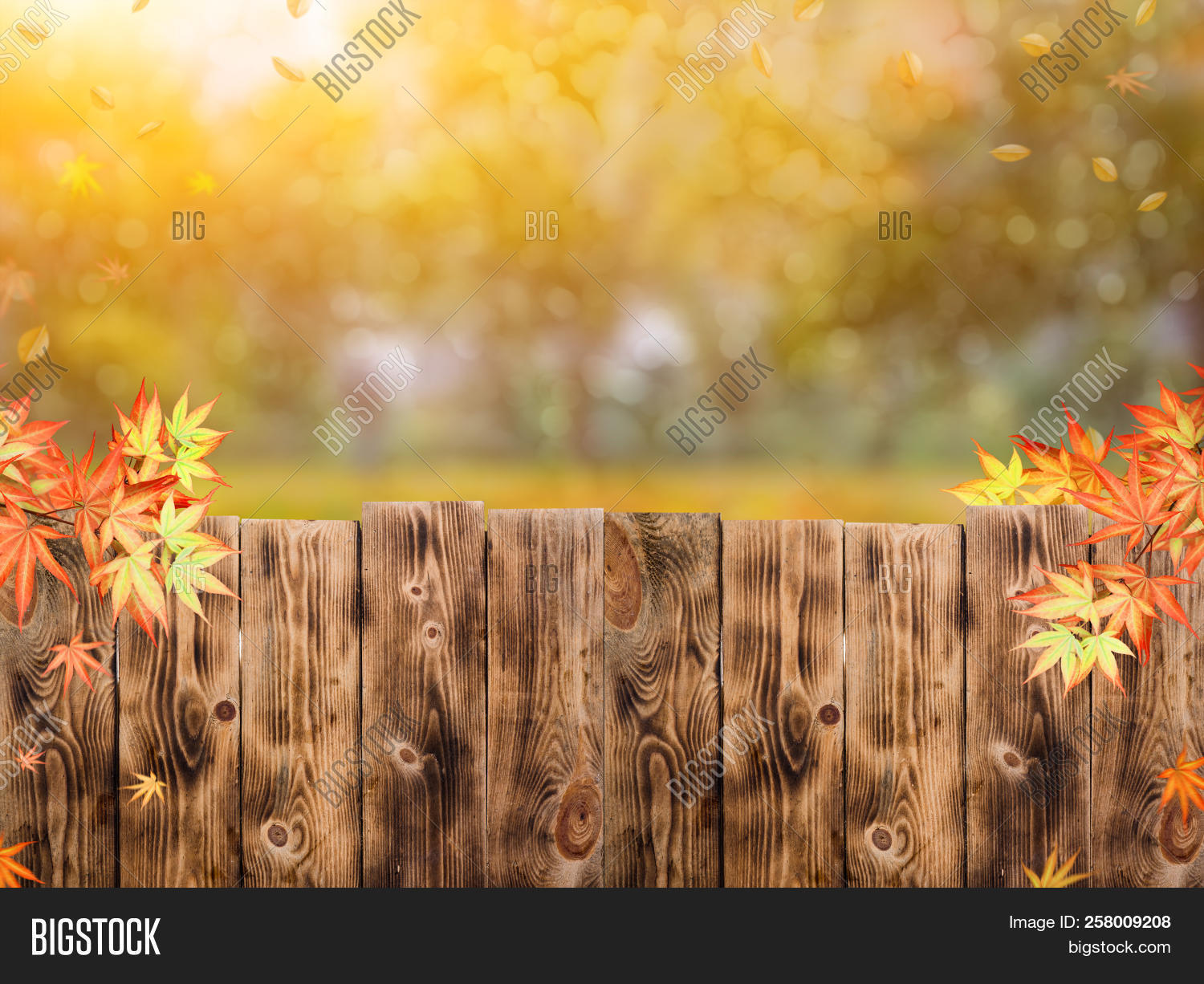 Wooden Fence Garden Image & Photo (Free Trial) | Bigstock