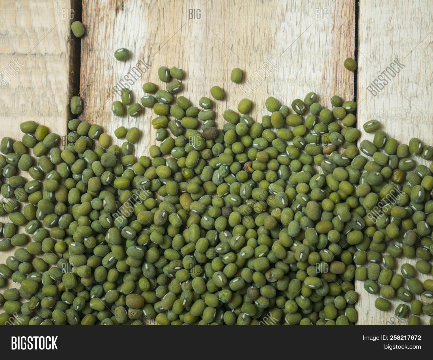 Mung Beans Known Green Image & Photo (Free Trial) | Bigstock